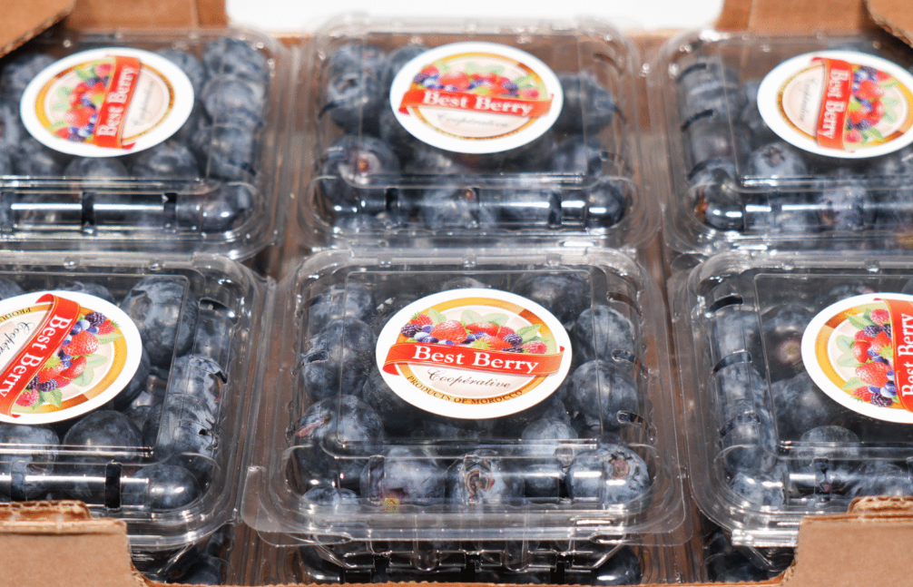 Fruits rouges : la production de myrtilles et de framboises marocaines ...