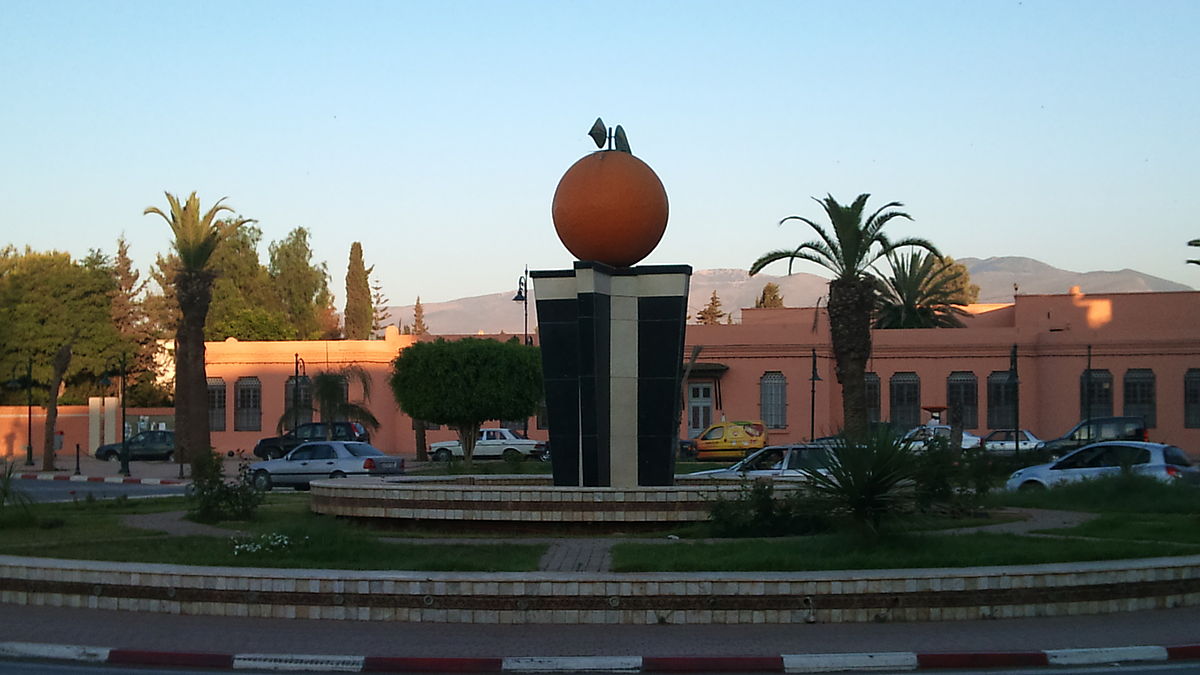 Berkane : Les agriculteurs de la région sont optimistes – AgriMaroc.ma