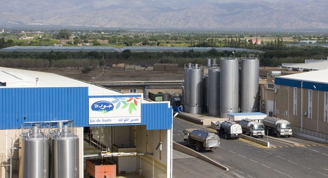 COPAG : De 21 agriculteurs à la plus grande coopérative agricole du Maroc