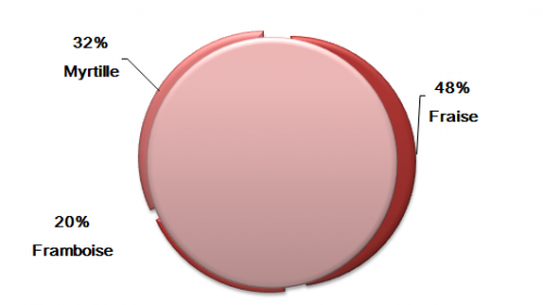 Filière des petits fruits rouges au Nord du Maroc