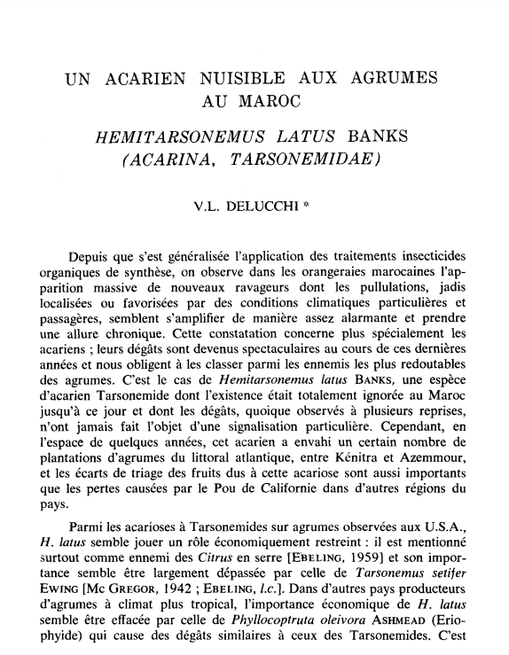 Les Acariens des Agrumes – AgriMaroc.ma