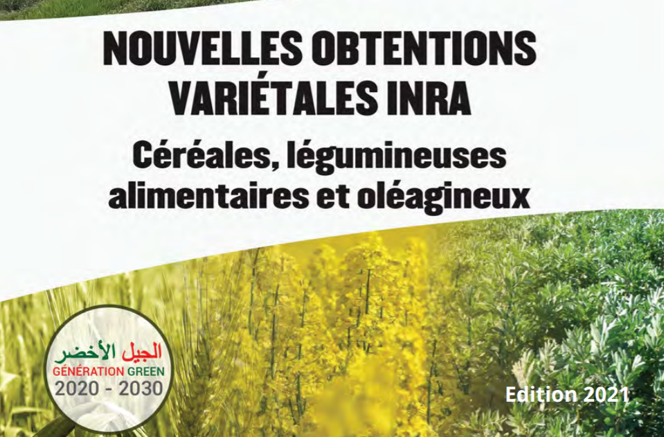 L'édition 2021 des nouvelles obtentions variétales de l'INRA – AgriMaroc.ma