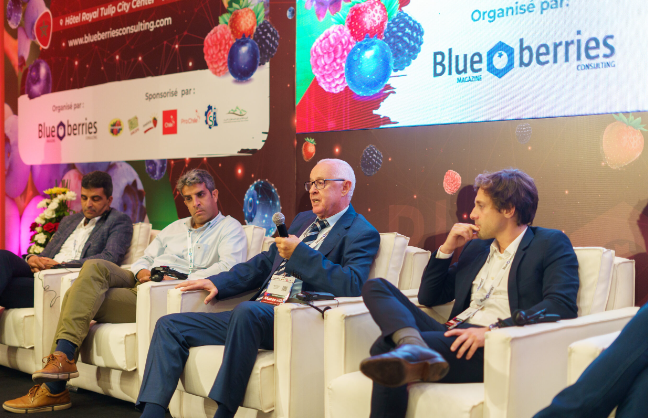 Le secteur des fruits rouges au Maroc connait une belle croissance ...