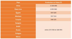 Fraises : Etat des lieux d'une culture soumise à forte concurrence ...