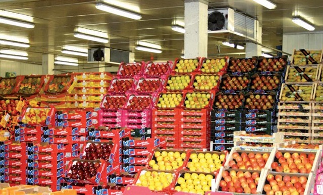 Fruits et légumes: Nouvelle route d'exportation Turquie-Jordanie