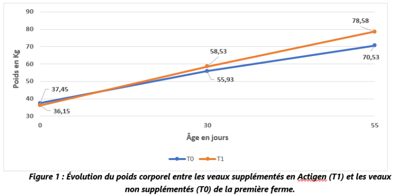 Alltech : Actigen® chez les veaux – AgriMaroc.ma