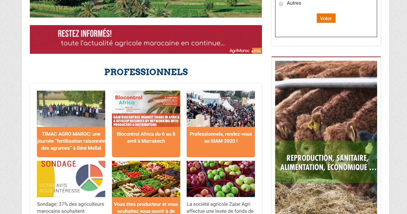 Agriculture au Maroc | AgriMaroc.ma