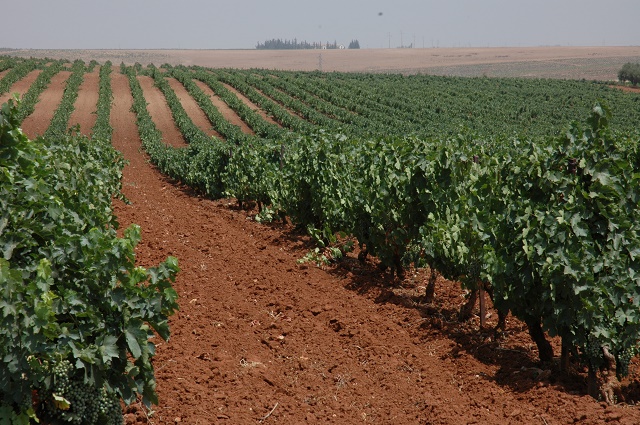 L'agriculture marocaine doit s'adapter face... - AgriMaroc.ma