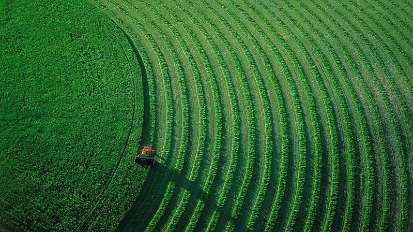L'agriculture, un pilier de l'économie marocaine