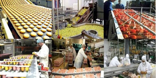 Maroc : le secteur agroalimentaire génère 115 milliards dirhams ...