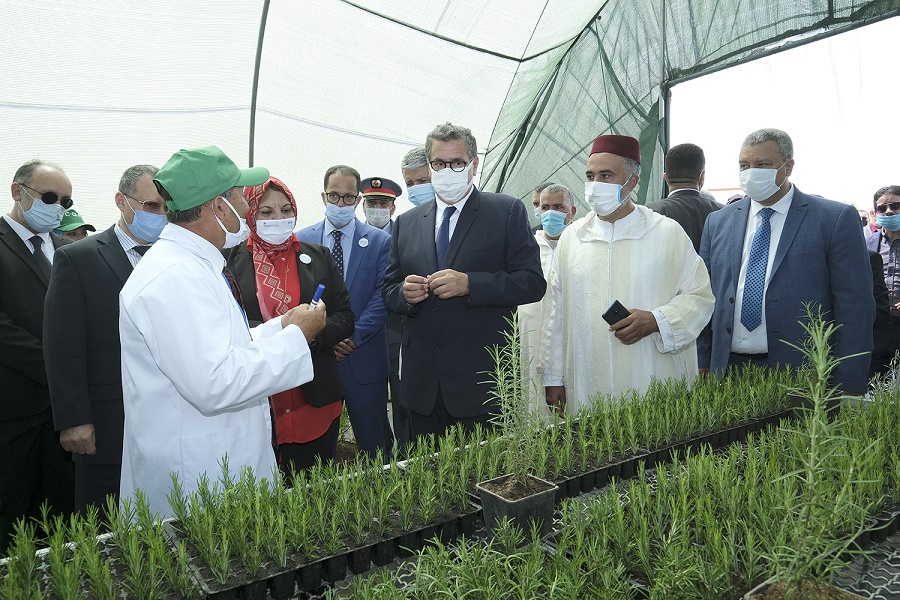 Larache: Lancement et visite de plusieurs projets agricoles – AgriMaroc.ma