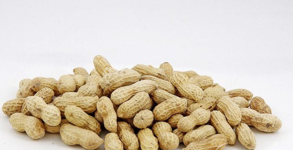 Sénégal : la filière arachide en péril ? – AgriMaroc.ma