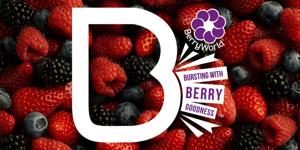 BerryWorld Espagne réunit les producteurs du Maroc et du Portugal pour ...