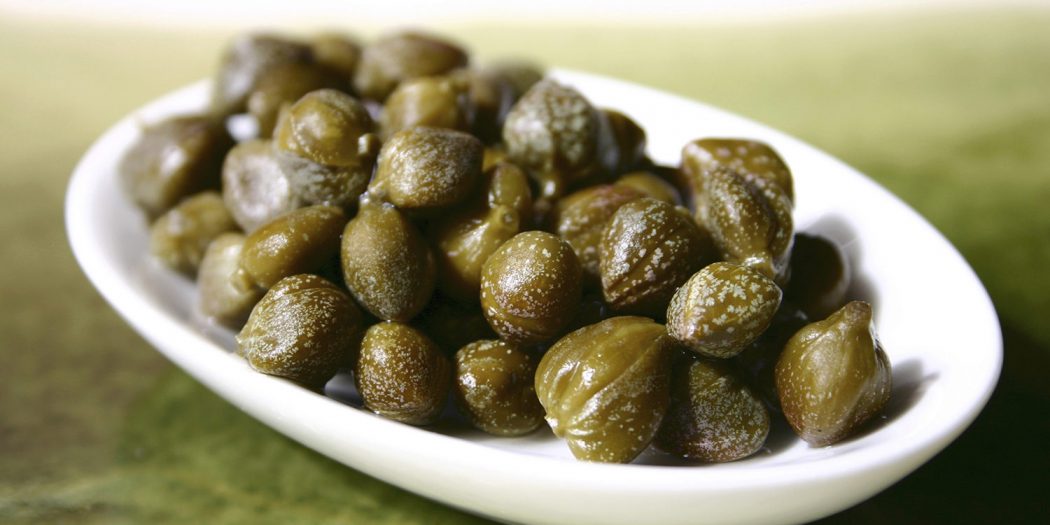 Câpre: Une culture emblématique de la région de Safi