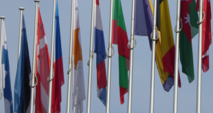 Les fruits rouges marocains sont de plus en plus prisés en Europe