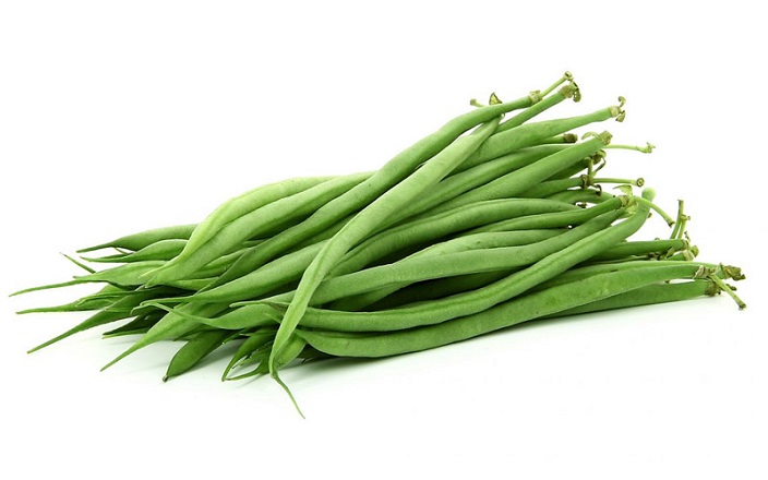 Fiche Technique de la culture du haricot vert au Maroc