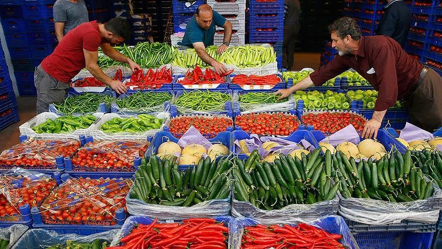 Turquie : les exportations de fruits et légumes ont atteint 2,3 MM