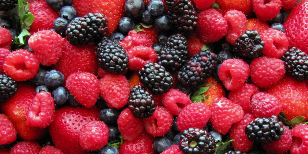 Tanger-Tétouan-Al Hoceima : la superficie des fruits rouges atteint 5000 ha