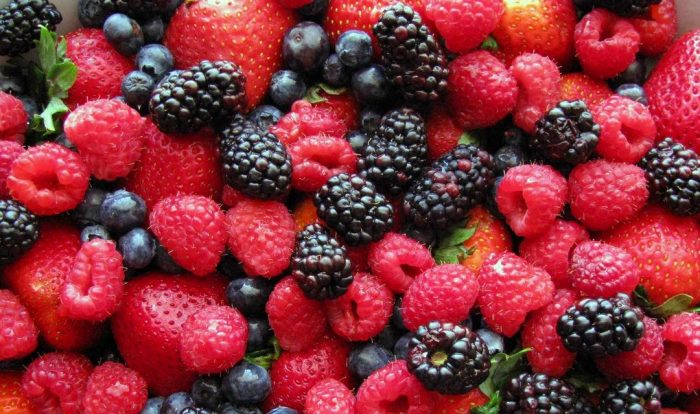 Larache : La 5ème édition du salon international des petits fruits ...