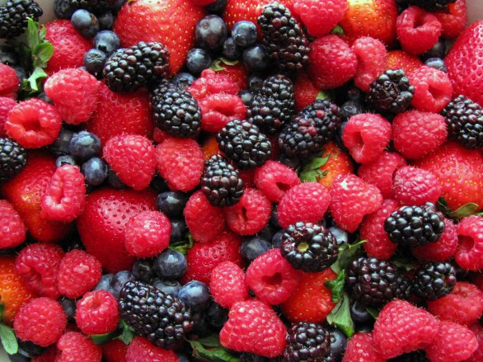 Fruits rouges : marché mondial 2021 – AgriMaroc.ma