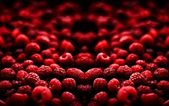 La filière des fruits rouges est la plus rentable au Maroc