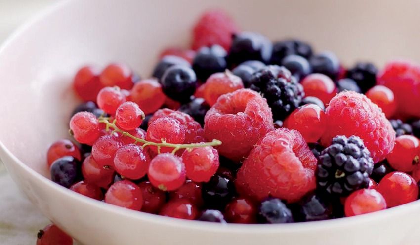 Kénitra: Programme de la 3ème édition du festival des fruits rouges du ...