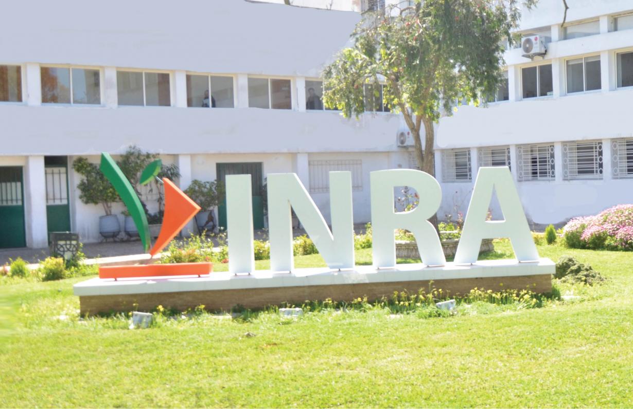 L’INRA communique sur ses nouvelles obtentions végétales au profit des ...