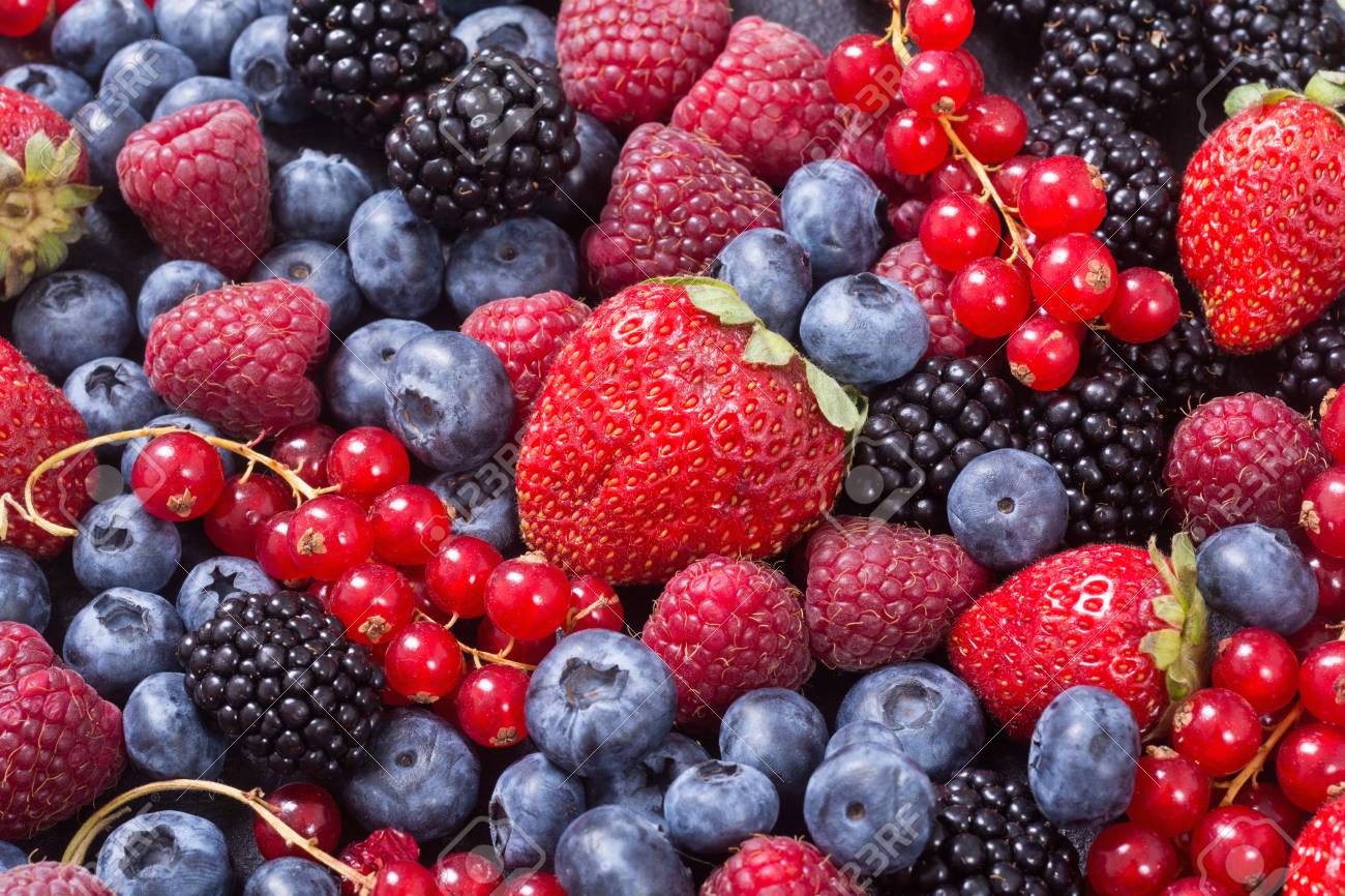 La Morocco Berry Conference 2024 dévoile ses intervenants – AgriMaroc.ma