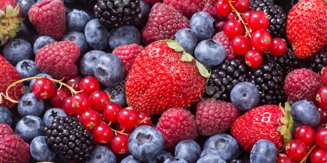 Le Maroc attire les entreprises latino-américaines de petits fruits