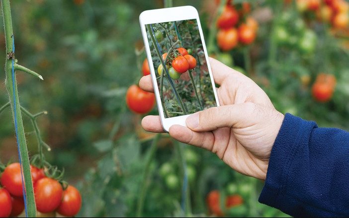 L’agriculture marocaine à l’ère de l’AgriTech : un modèle pour l ...